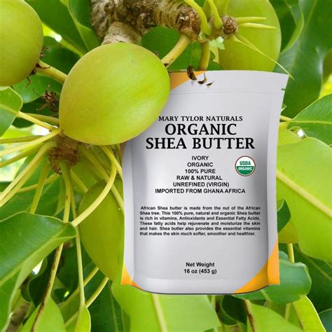 Organic Shea Butter For Hair