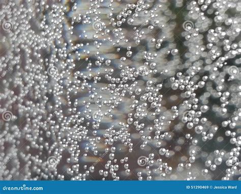 Tiny Bubbles Stock Image Image Of Small Inspirational 51290469