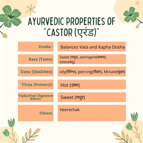 Eranda Castor Oil Plant Intro Names Benefits Usages Gallery — Herbal Arcade