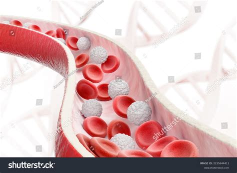 58230 혈관 이미지 스톡 사진 및 벡터 Shutterstock