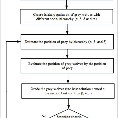 The Flowchart For Optimization Of The Planned Gwo Download Scientific Diagram