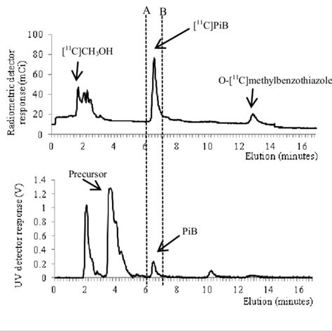 Preparative Chromatogram Of 11 C Pib Bottom Ultraviolet Uv