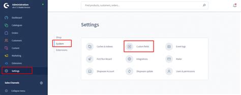 how to show custom field data in the storefront in shopware 6 bay20