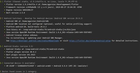 Can T Run Flutter App Sends Crash Report While Initializing Gradle Issue Flutter