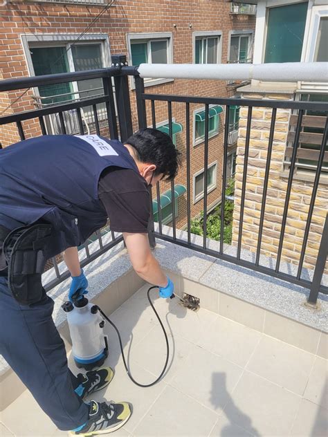 휴케어바퀴벌레 개미 좀벌레 먼지다듬이 돈벌레 집게벌레 권연벌레 쌀벌레 입주소독 모든해충 소독 서울특별시 양천구 신정동 청소소독 당근 비즈 소식