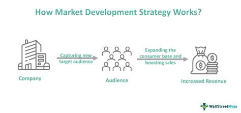 Market Development Strategy What Is It Examples Advantages