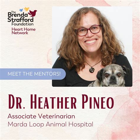 Bsf Heart Home Network On Linkedin Meet The Mentors Dr Heather Pineo Heather Has Been A