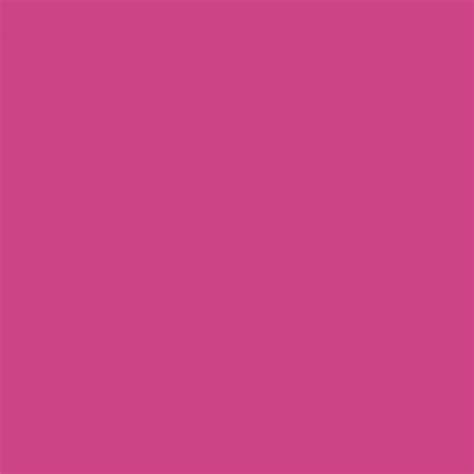 Buy Pantone Tpg Sheet 18 2333 Raspberry Rose