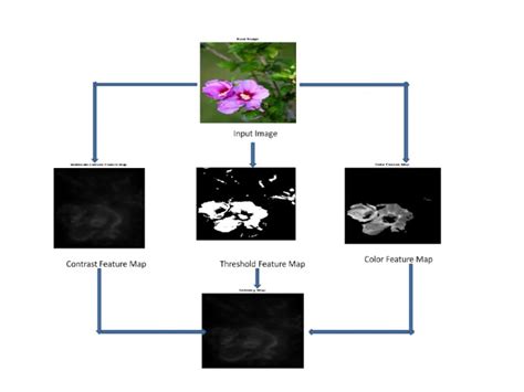 Computation Of Saliency Map Detection Of Salient Object In A Static Image