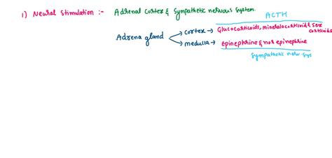 SOLVED Select All That Apply Which Of The Following Are Involved In The Female Sexual Response