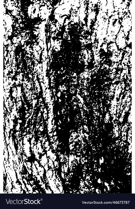 Pine Tree Bark Texture Royalty Free Vector Image