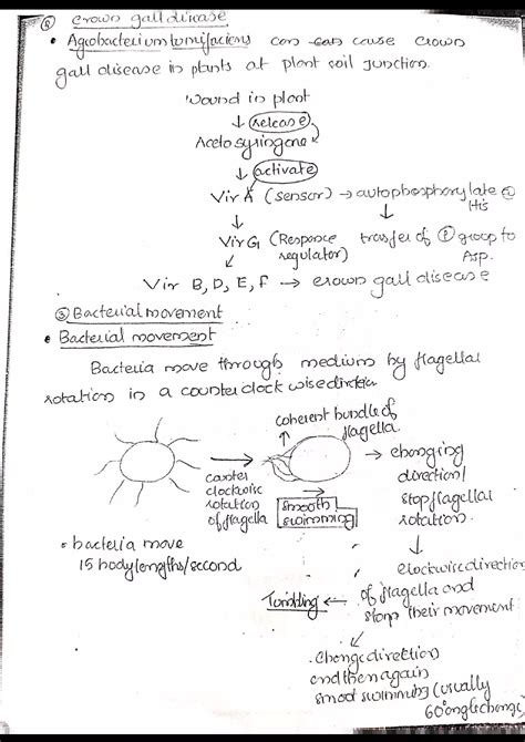 Two Component System Swansea University Edubirdie