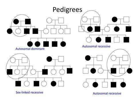 Ppt Biology 2b Powerpoint Presentation Free Download Id4839638