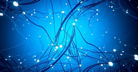 What Is A Neural Network