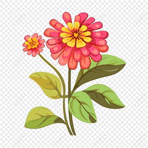 다채로운 잎 벡터 일러스트 만화와 백일초 클립 아트 꽃 Png 일러스트 무료 다운로드 Lovepik