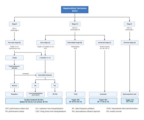 Barcelona Clinic Liver Cancer Bclc Staging System Biorender Science