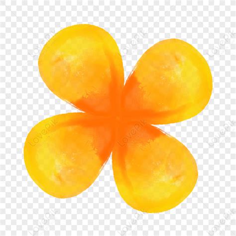 노란색 수채화 일러스트 꽃 벡터입니다 일러스트잎꽃잎영화 Png 일러스트 무료 다운로드 Lovepik