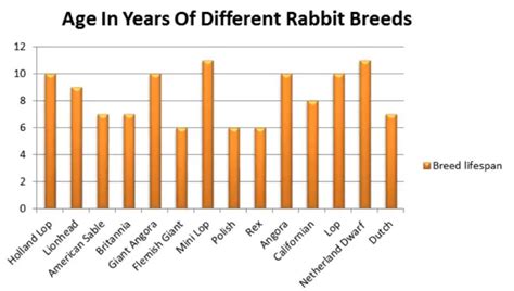Rabbits By Age