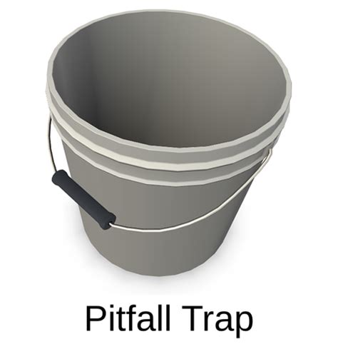 Pitfall Traps Labster