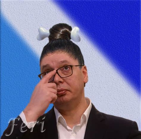 Vučić Frizura Punđa