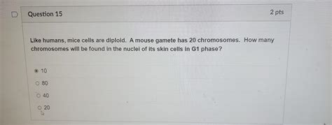 Solved Like Humans Mice Cells Are Diploid A Mouse Gamete