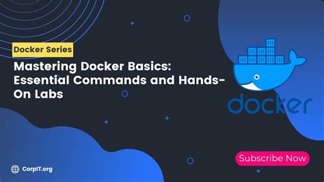 Mastering Docker Basics Essential Commands And Hands On Labs YouTube