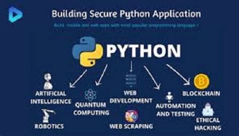 Teach You Programming In Python By Abdulhadi599 Fiverr