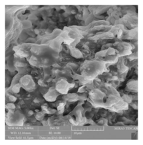 Scanning Electron Microscope Micrographs Of Ceramic Microparticles A Download Scientific