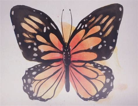 Kursus Procreate Complete Procreate Learning Path Class Nerd Masterclass