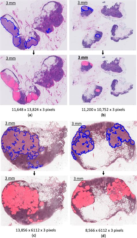 Figure 5 From Unsupervised Mutual Transformer Learning For Multi