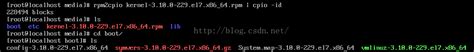 运维笔记18 （linux无法开机的修复方法，linux开机流程） linux系统盘满了开不开机 csdn博客