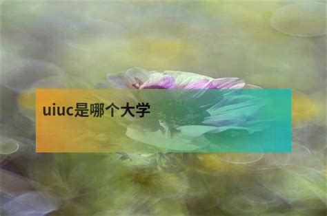 Uiuc是哪个大学 职教网