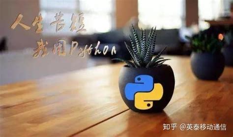 初学者，python和c语言先学哪个好？ 知乎
