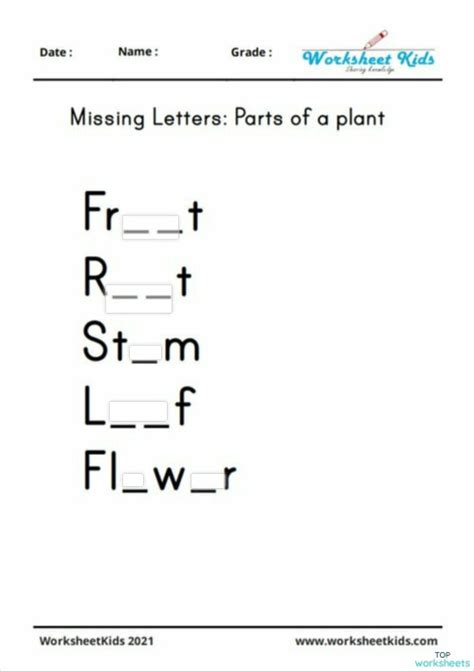 Parts Of A Plant Interactive Worksheet Topworksheets