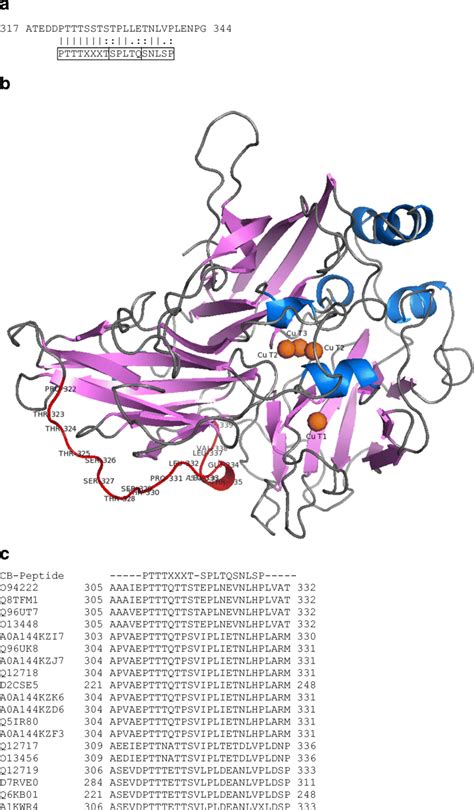 Identification Of Specific Carotenoid Binding Sequence Patterns A