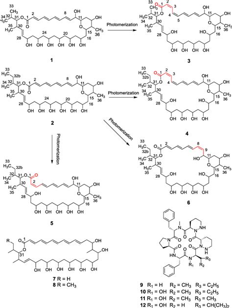 Structure Of Isolated Polyenes 18 And Cyclic Peptides 912
