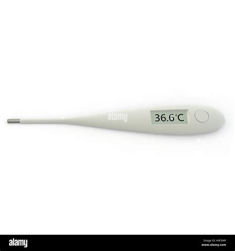 Digital Thermometer Shows A Temperature Of 36 6 Degrees Celsius Isolated White Background 3d