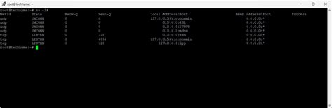 25 Useful Linux Ss Command Examples To Monitor Network Connections