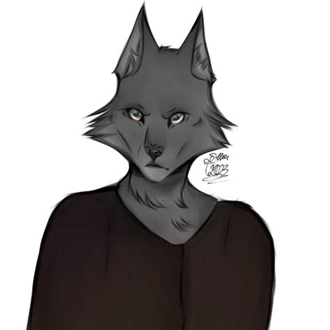 Some Wolf Dude By Annaster19 On Deviantart
