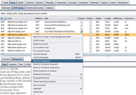 how to use burp sequencer kalitut