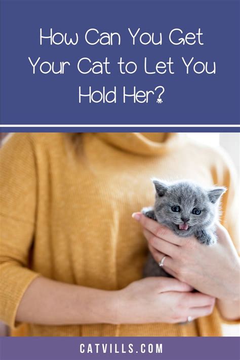 How To Hold A Cat Teach Cat To Like Being Held Cats Agility