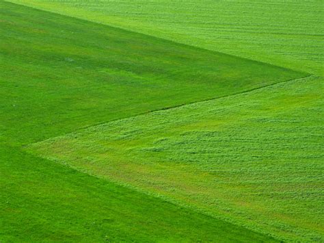Natural Grass Download Mobile Phone Full Hd Wallpaper