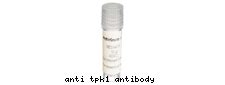 Anti Tpk1 Antibody Rabbit Tau Protein Kinase 1 Tpk1 Polyclonal Antibody