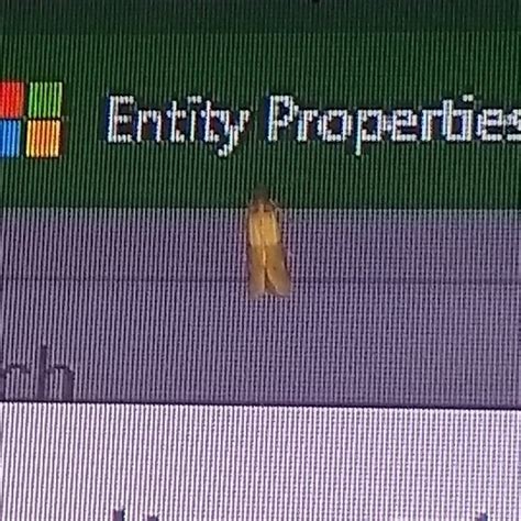 Insect Classification Classification Dataset By Insect Detection