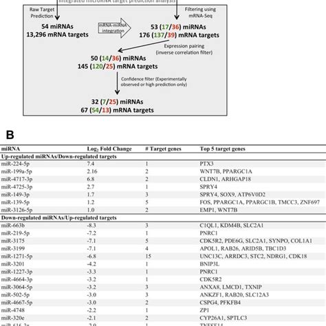 Integration Of Mrna Seq And Mirna Seq Data Using Ingenuity Pathway