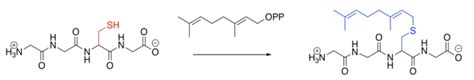 6 6 Covalent Modification Chemistry Libretexts