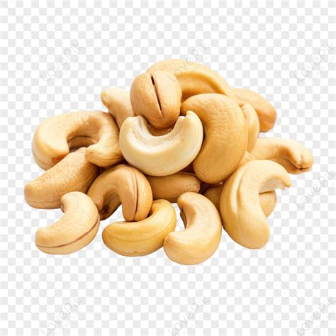 클리핑 패스를 사용하여 흰색 배경에 격리된 캐슈 너트본질적인공장 Png 일러스트 무료 다운로드 Lovepik
