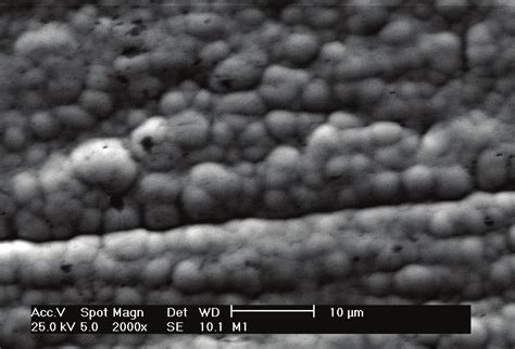 microstructure of as deposited ni p binary coating a and ni p al 2 o