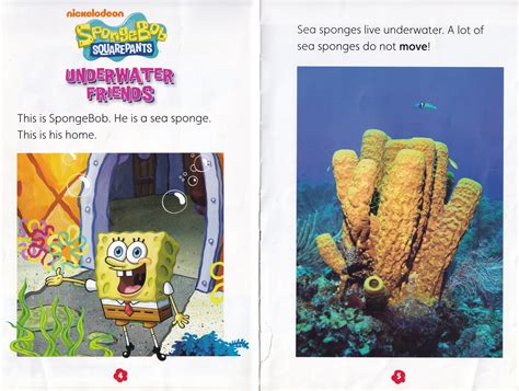 Sponge Encyclopedia Spongebobia Fandom