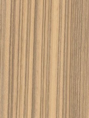 How Wood Is Formed In Trees The Wood Database